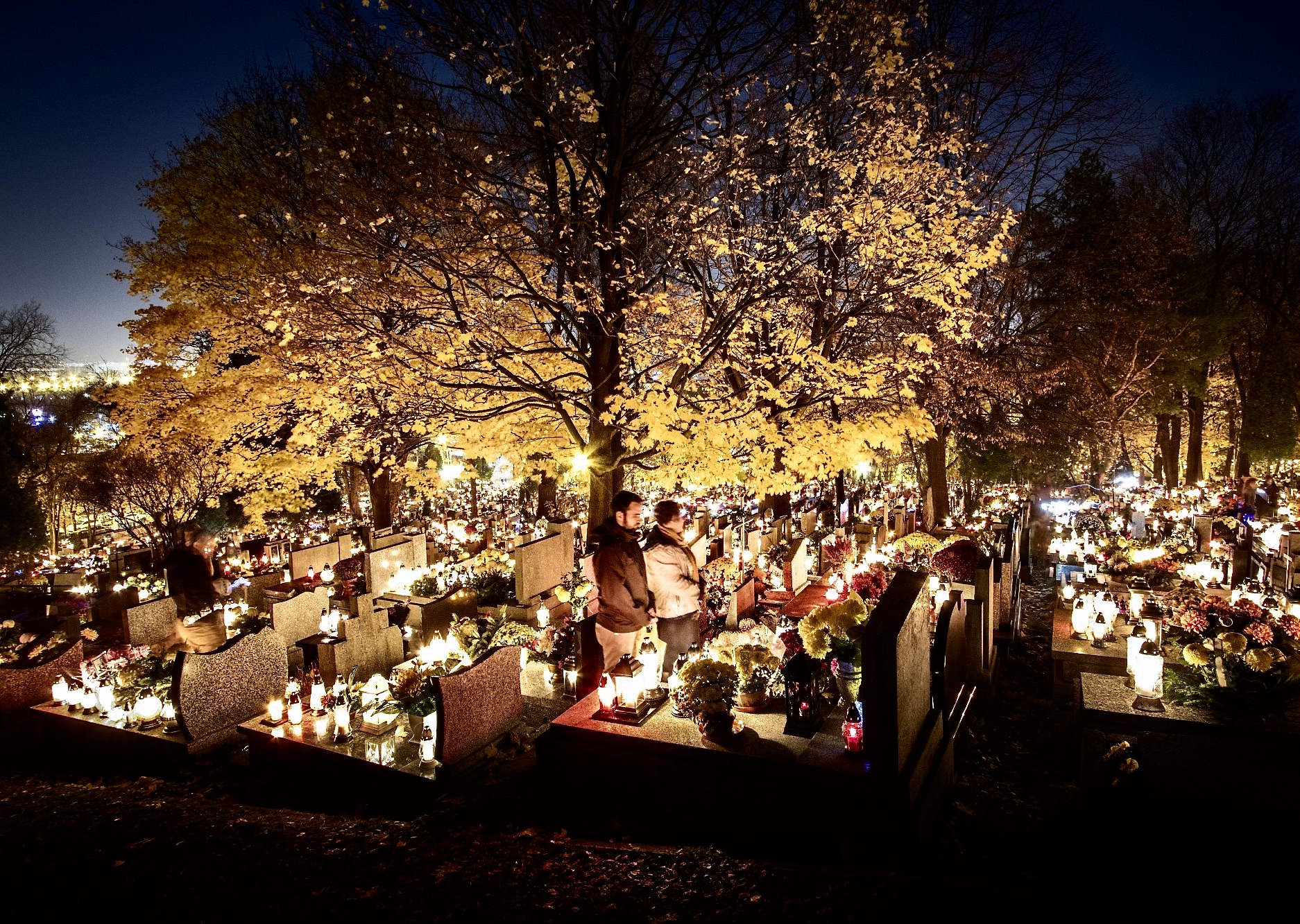 Not Fade Away | Lithuanian Journal